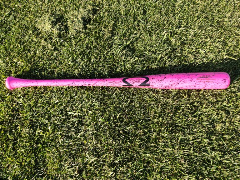 Limited Edition - Dinger Bats